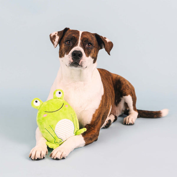 Fringe Studio Froggy Dog Toy | Palmetto Moon