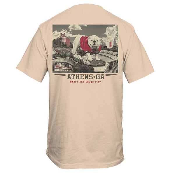 UGA Mascot Stadium Short Sleeve T-Shirt | Palmetto Moon