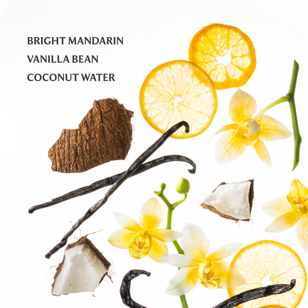 Touchland Vanilla Blossom Power Mist Hydrating Hand Sanitizer ...