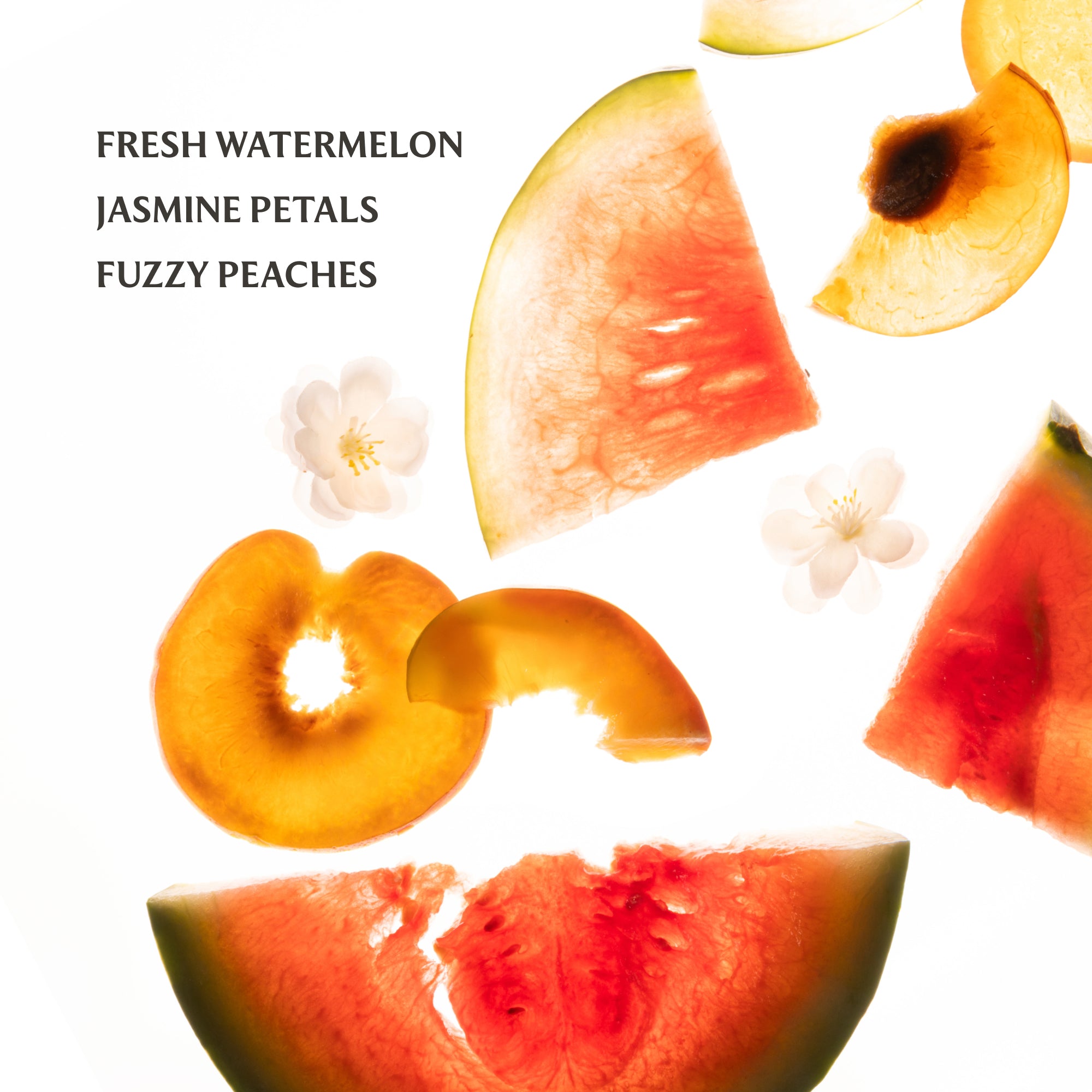 Touchland Wild Watermelon Power Mist Hydrating Hand Sanitizer ...